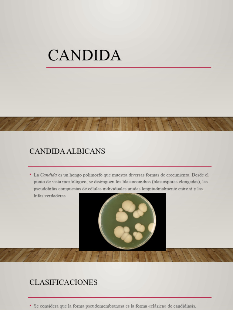 CANDIDA | PDF | Candidiasis | Candida (hongo)
