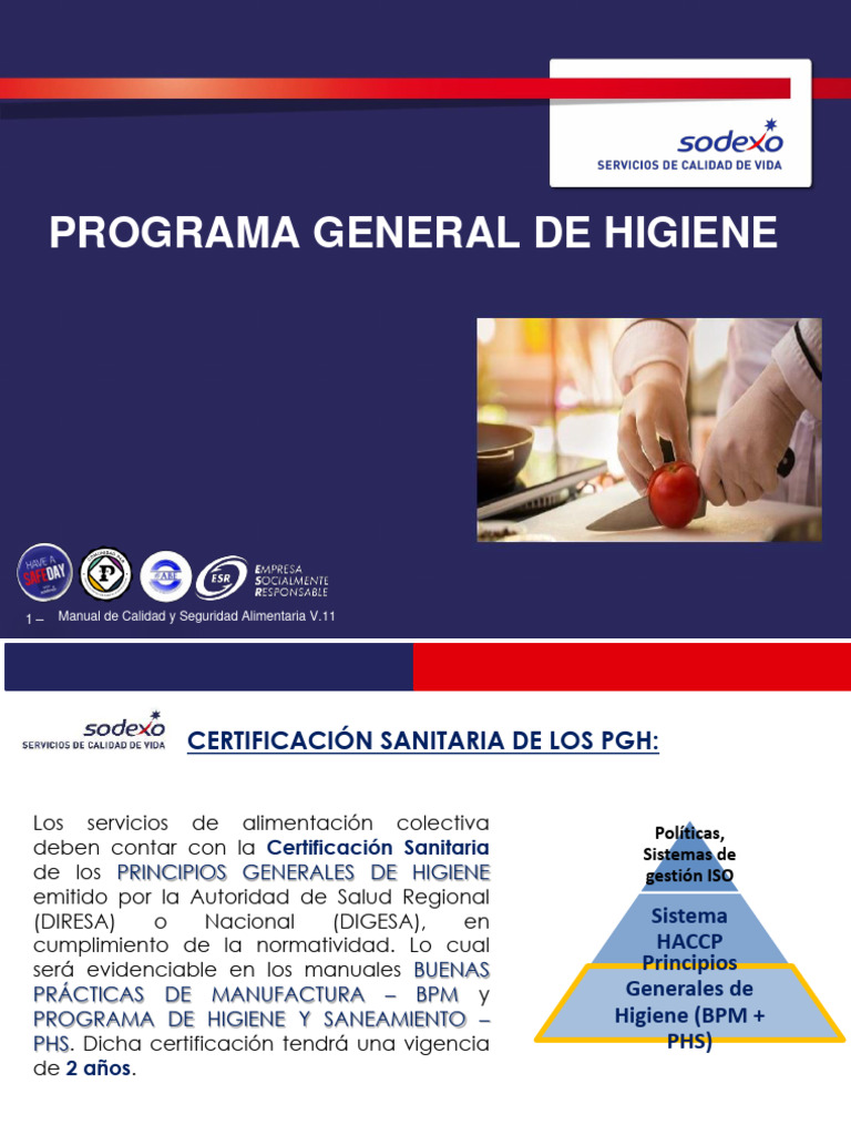 Programa General de Higiene | Descargar gratis PDF | Análisis de Riesgo y Puntos Críticos de ...