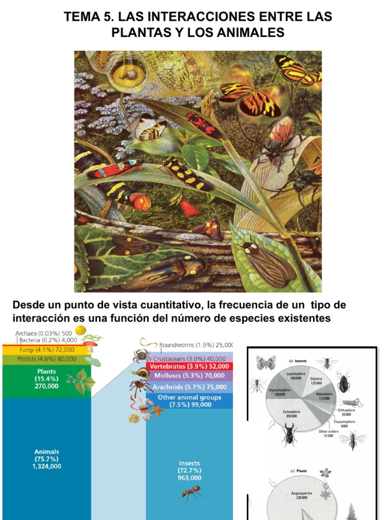 Tema 5. Interacciones Entre Las Plantas y Los Animales - 23 - 24 | PDF ...