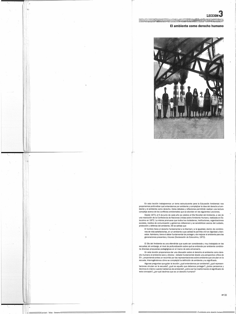 CANCIANI y Otrxs - Problemas y Desafíos de La EA - Capítulos 3 a 8 - Pp. 45-135 | PDF