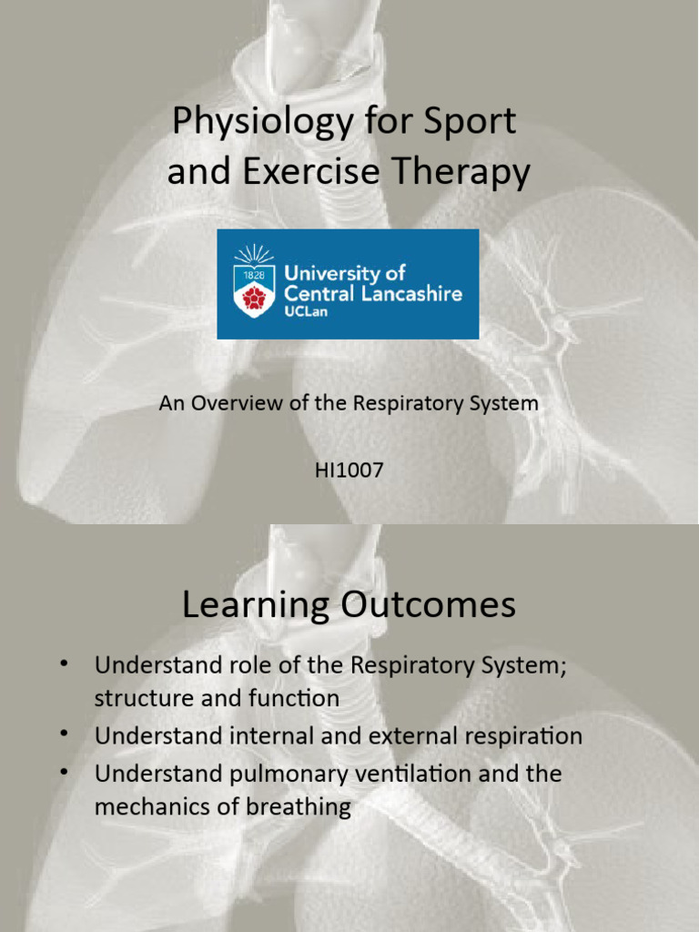 Overview of The Resp System - PA | PDF | Respiratory Tract ...