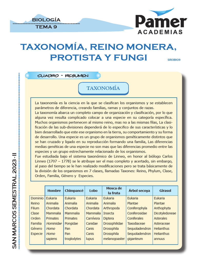 Taxonomía: Reinos Monera, Protista y Fungi | PDF | Hongo | Algas