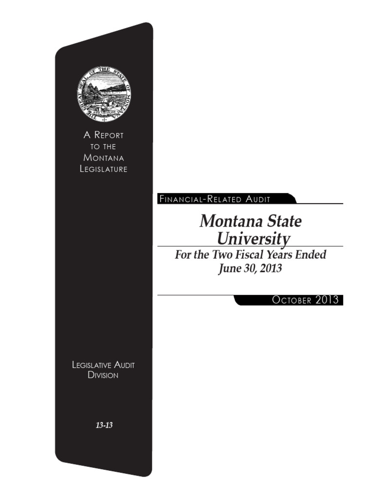 Montana State Univ. Audit Report | PDF | College | Business