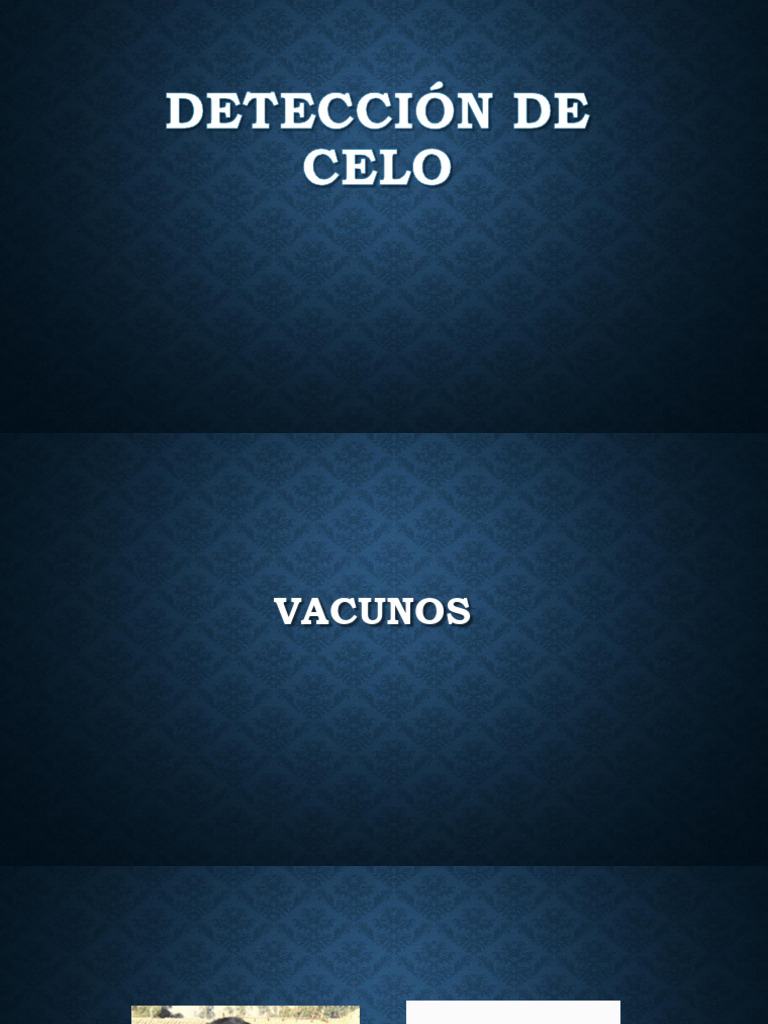 Unidad 2 - Tema 4 Detección de Celo | PDF