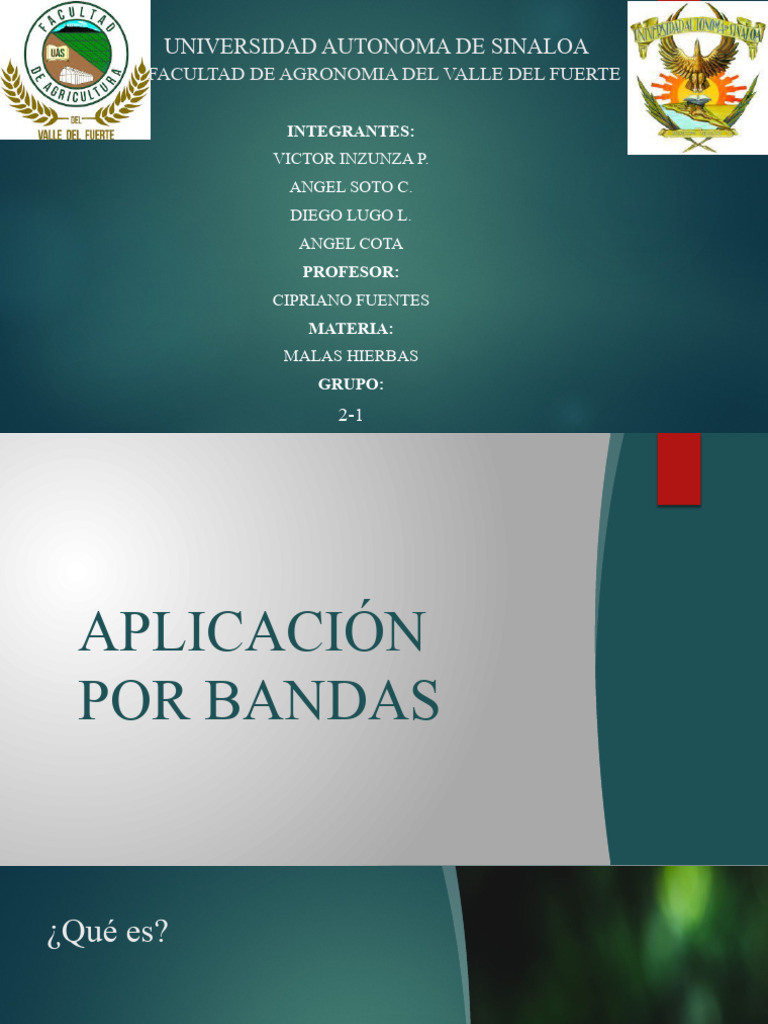 Aplicacion Por Bandas | PDF | Fertilizante | Agricultura