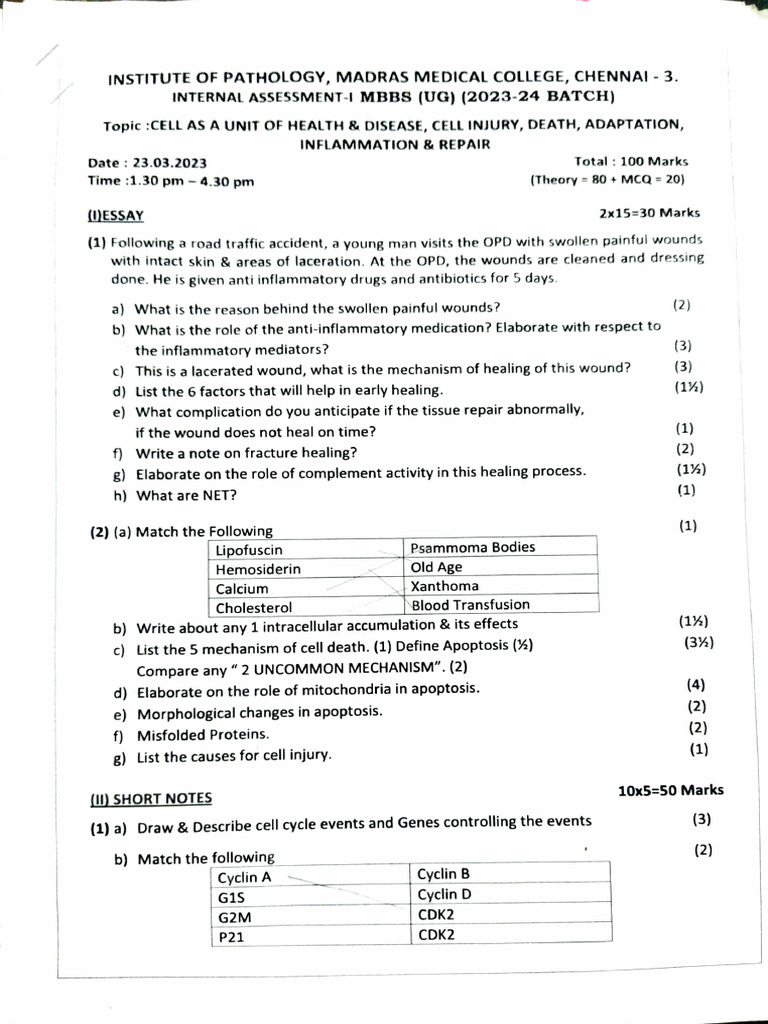 Path IA Papers | Download Free PDF | Apoptosis | Healing