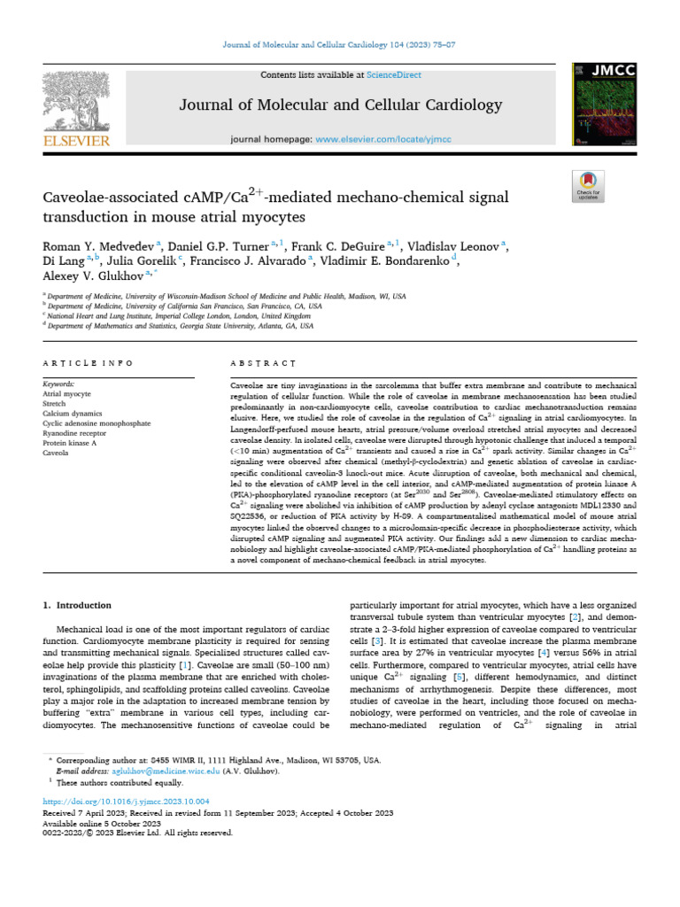 Caveolae-Associated cAMP:Ca2+-mediated Mechano-Chemical Signal Transduction in Mouse Atrial ...
