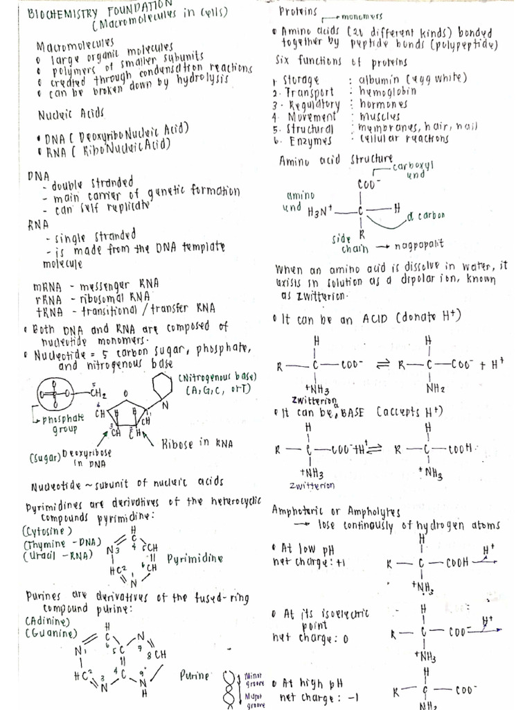 Biotech Reviewer | PDF