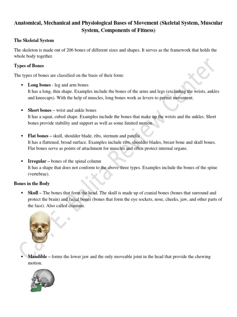 Anatomical, Mechanical and Physiological Bases of Movement (Skeletal ...