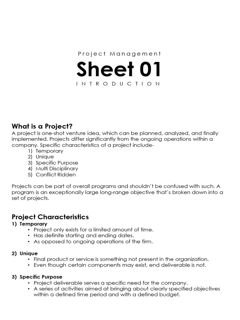 Project Management Basics | PDF | Project Management | Goal