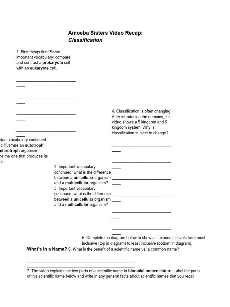 11 Classification Video Recap Pdf Organisms Eukaryotes 7986