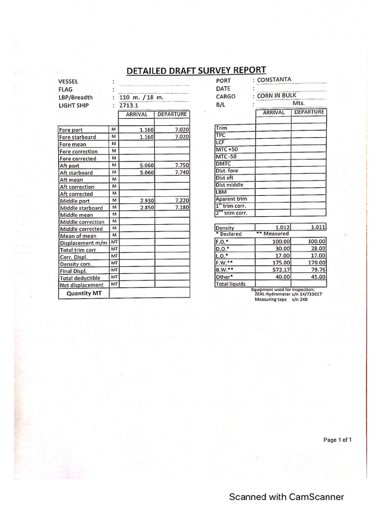 Draft Survey Report | PDF