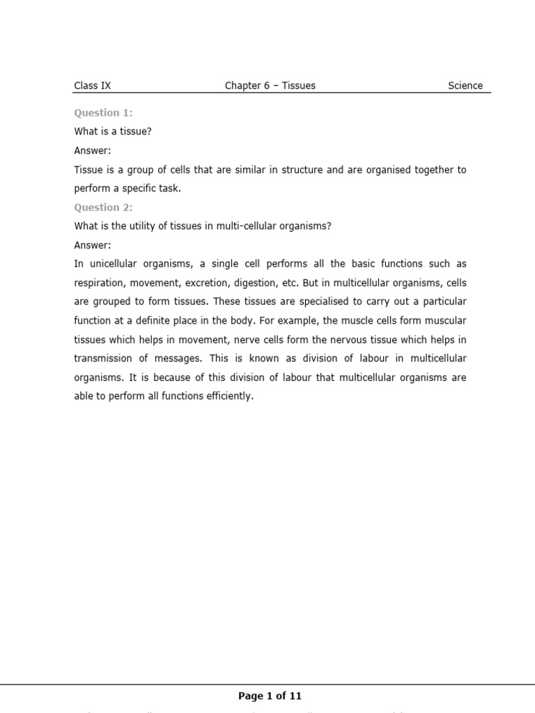 Tissues CLASS 9 CBSE | PDF | Tissue (Biology) | Epithelium