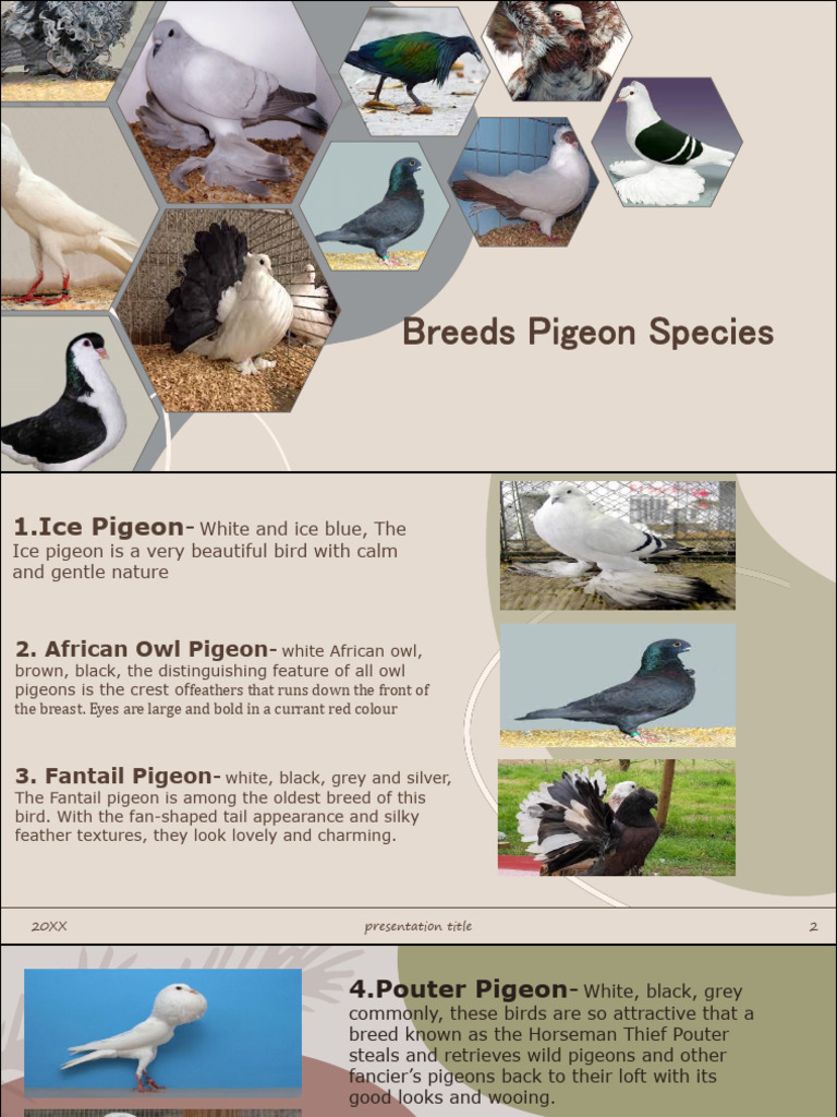 A Poultry Species Pdf Fat