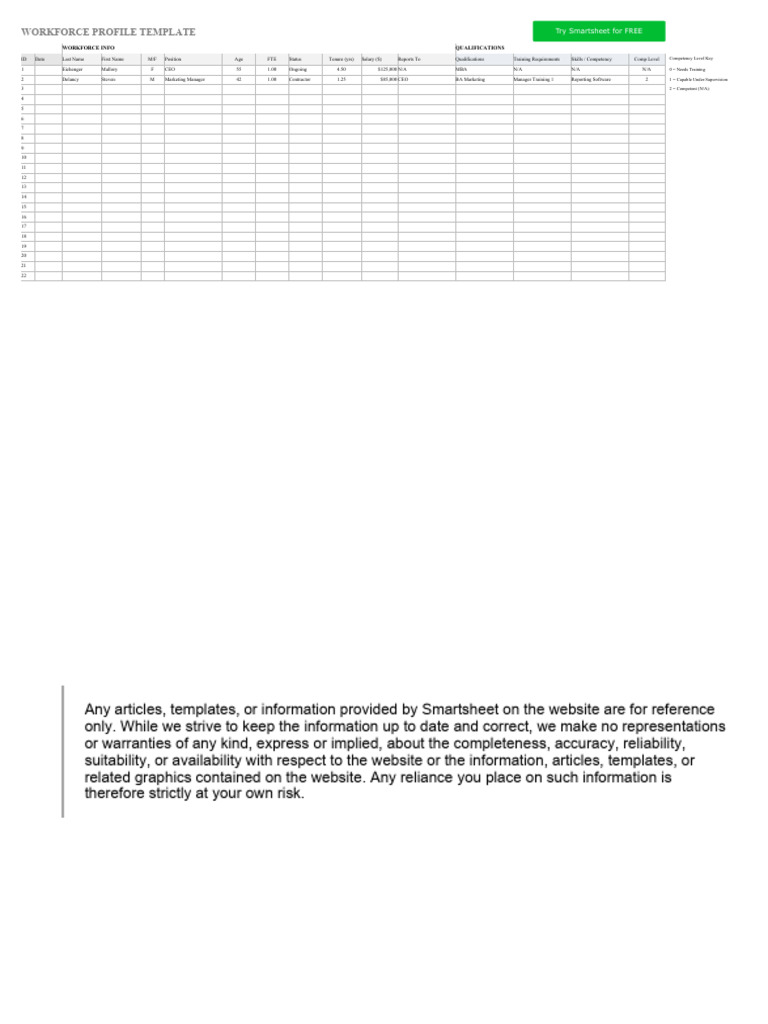 IC Workforce Profile Template 10555 | PDF