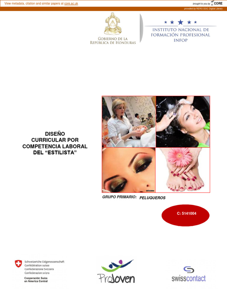 DISEÑO CURRICULAR BELLEZA | PDF | Plan de estudios | Enseñando