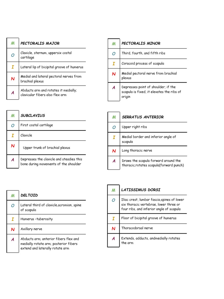 UPPER EX - UNO | PDF | Thumb | Finger