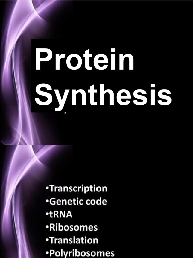 Protein Synthesis | PDF