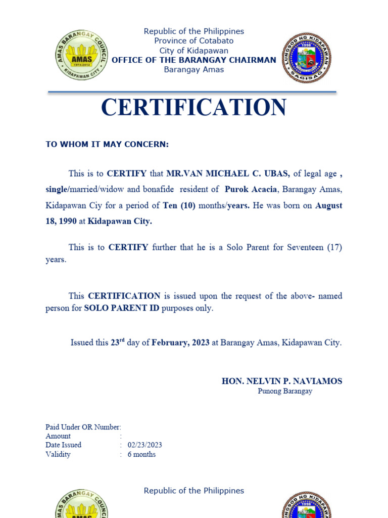 Solo Parent Certification Samples | PDF