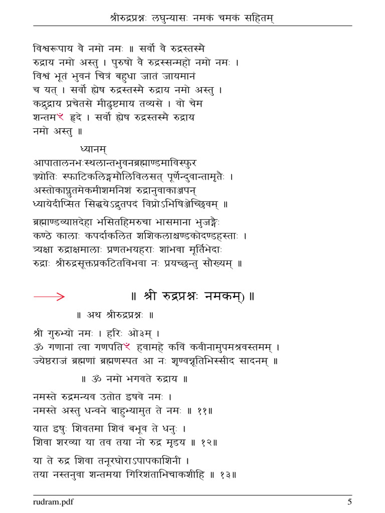 16 Mantras Sri Rudram | PDF