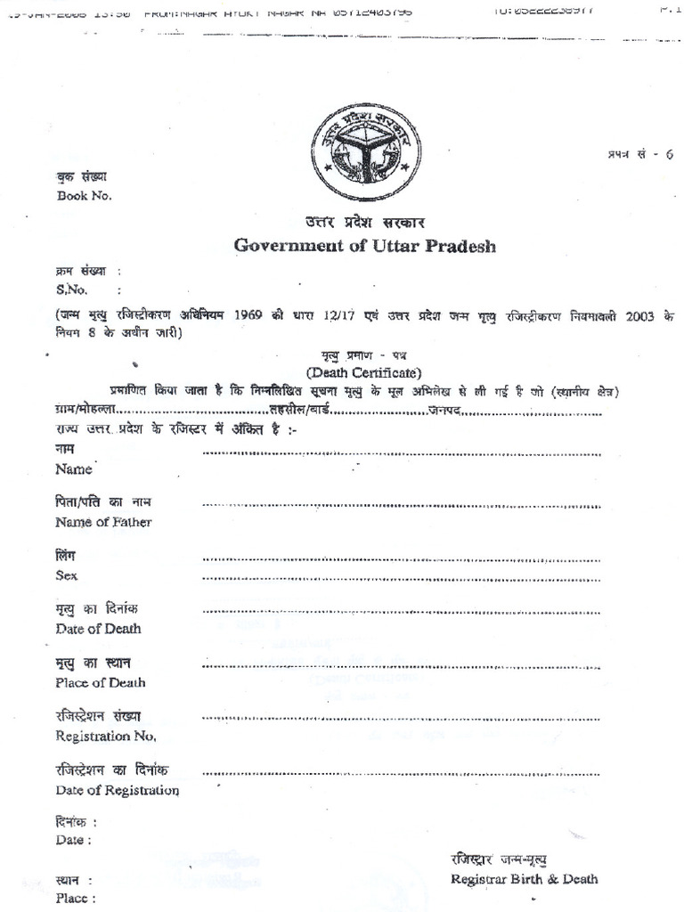 Format Death Birth | PDF