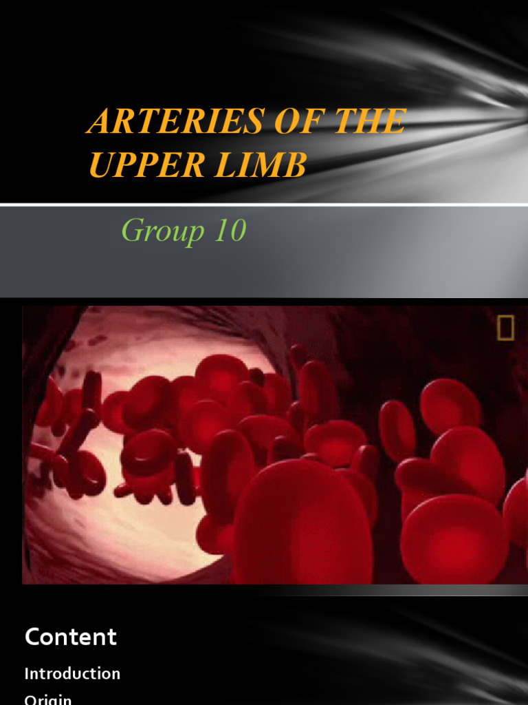 Upper Limb Arteries | PDF | Arm | Angiology