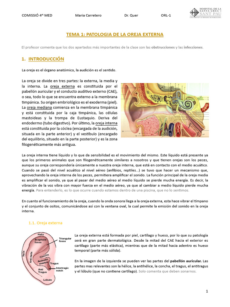 Anatomía y Patologías de la Oreja | PDF | Escuchando | Ciencias de la Salud
