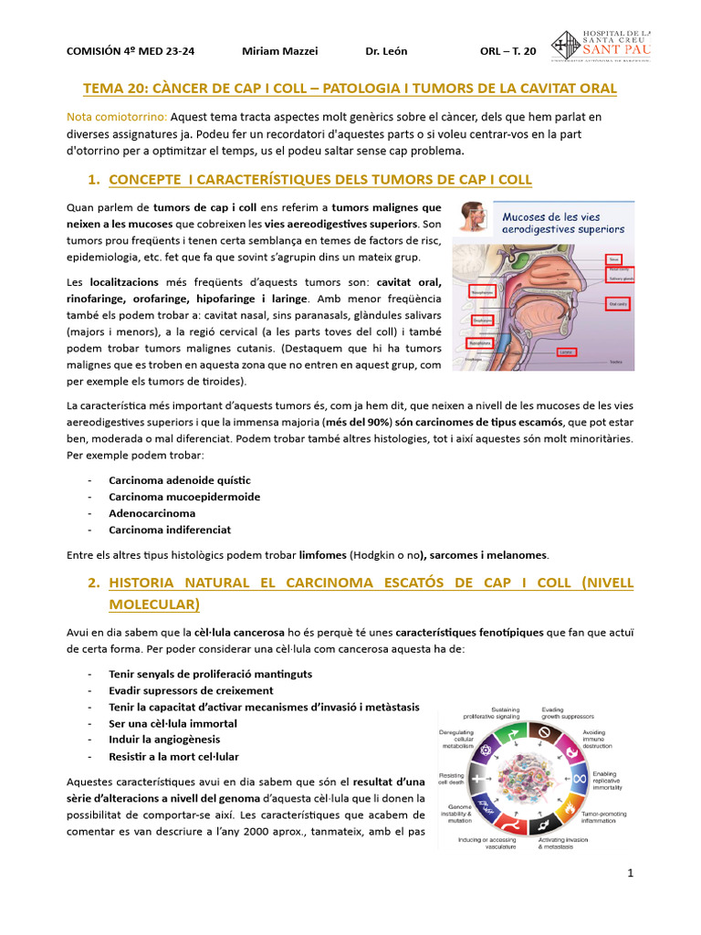 Càncer de Cap I Coll | PDF