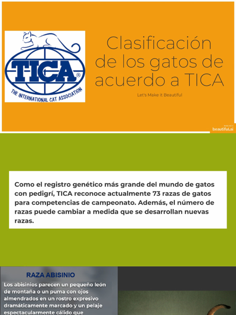 Tica 1 | PDF | Gatos | Piel
