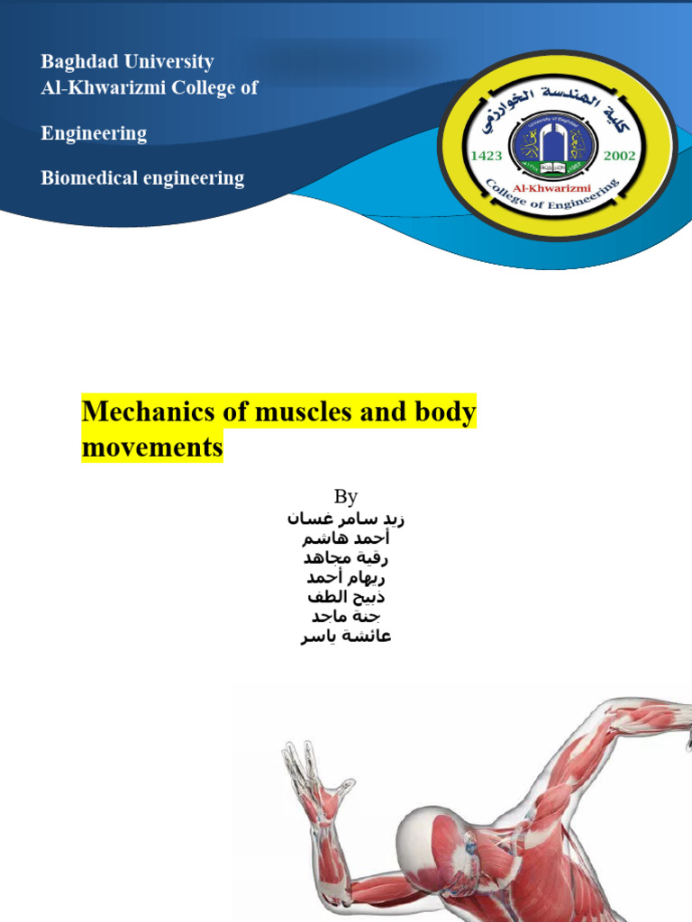 Mechanics of Muscles and Body Movements | PDF | Skeletal Muscle | Motor ...