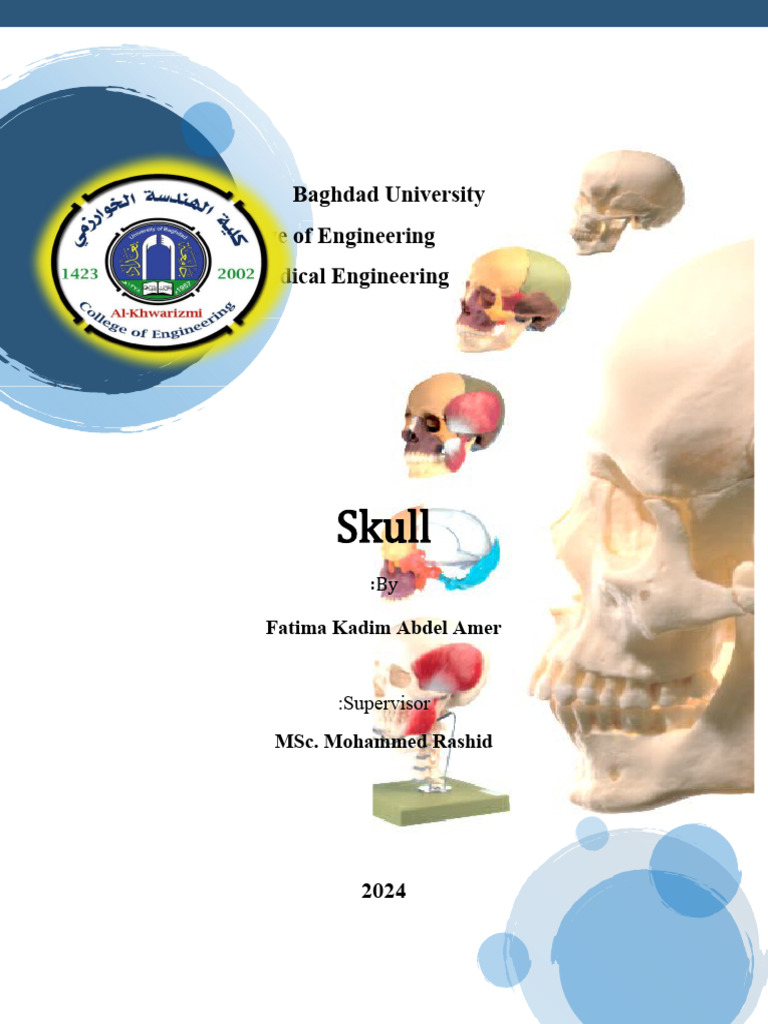Skull | Download Free PDF | Skull | Morphology (Biology)