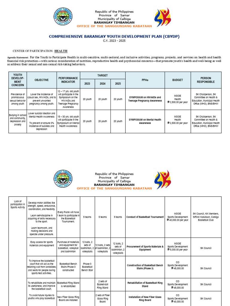 Sample of CBYDP | PDF | Youth | Environmental Protection