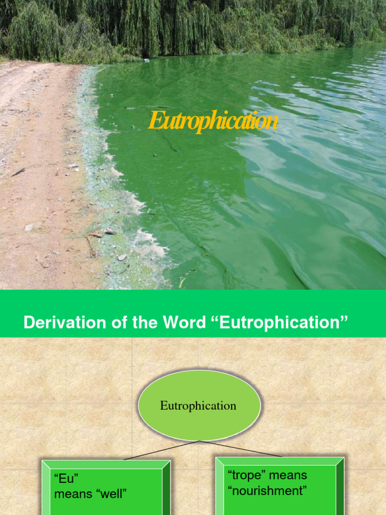 EUTROPHICATION- MODULE3 | PDF | Eutrophication | Surface Runoff