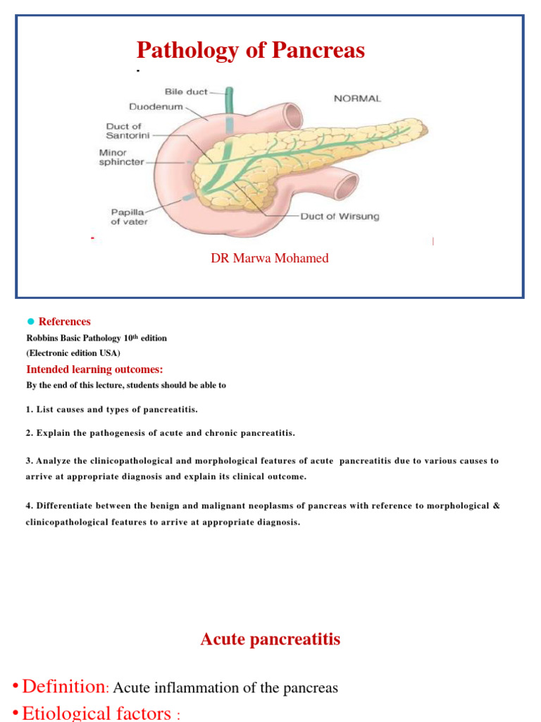 3- pancrease | PDF | Pancreas | Medicine