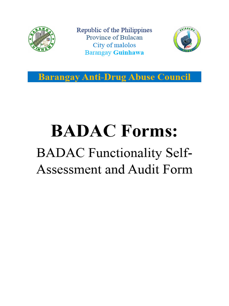 BADAC Functionality Self Assessment and Audit Form 2023 | PDF | Substance Abuse | Social Aspects ...