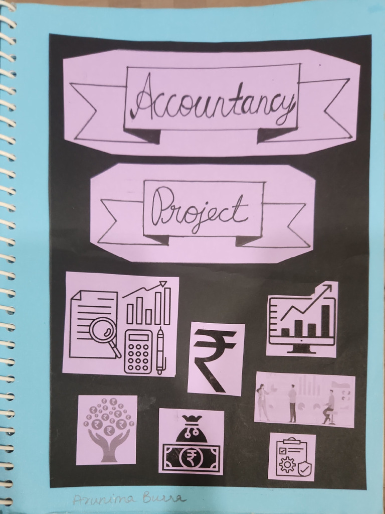 Accountancy Project Reference 2 | PDF