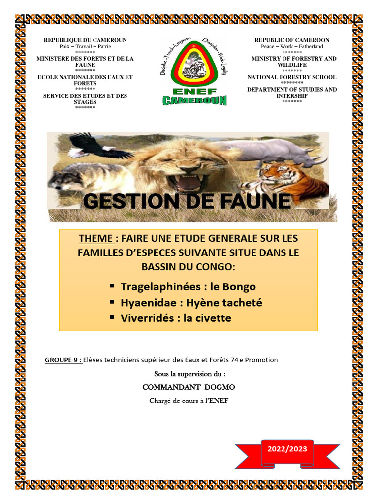 Étude sur le Bongo et la Hyène tachetée | PDF