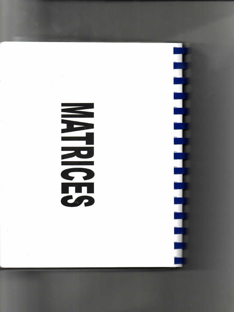 1era Parte Matrices Wisc V | PDF