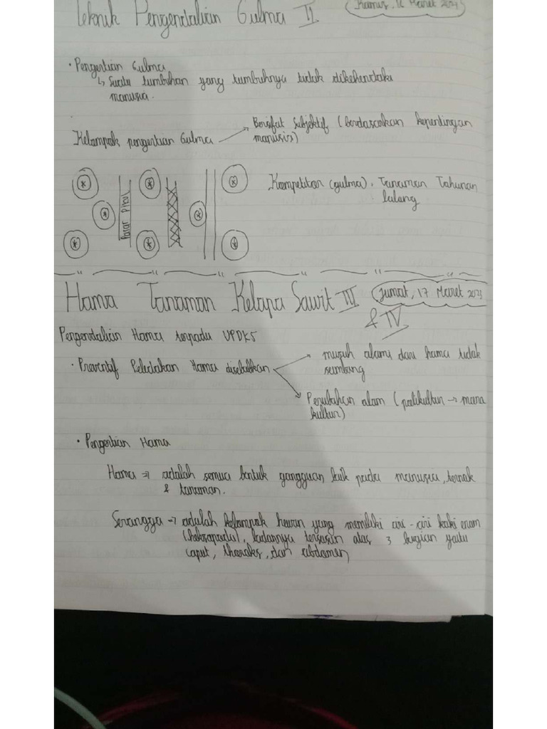 Catatan 3&4 Amin | PDF