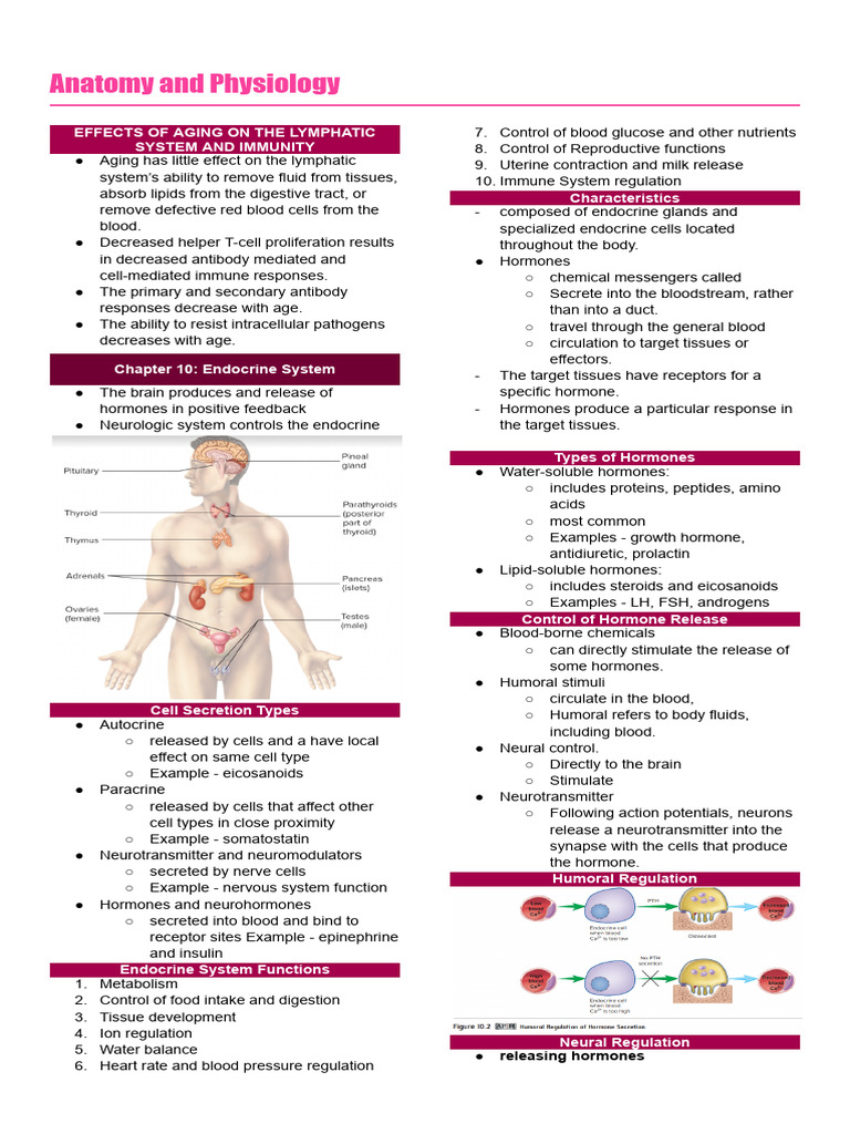 Anaphy - Finals | PDF | Hormone | Endocrine System