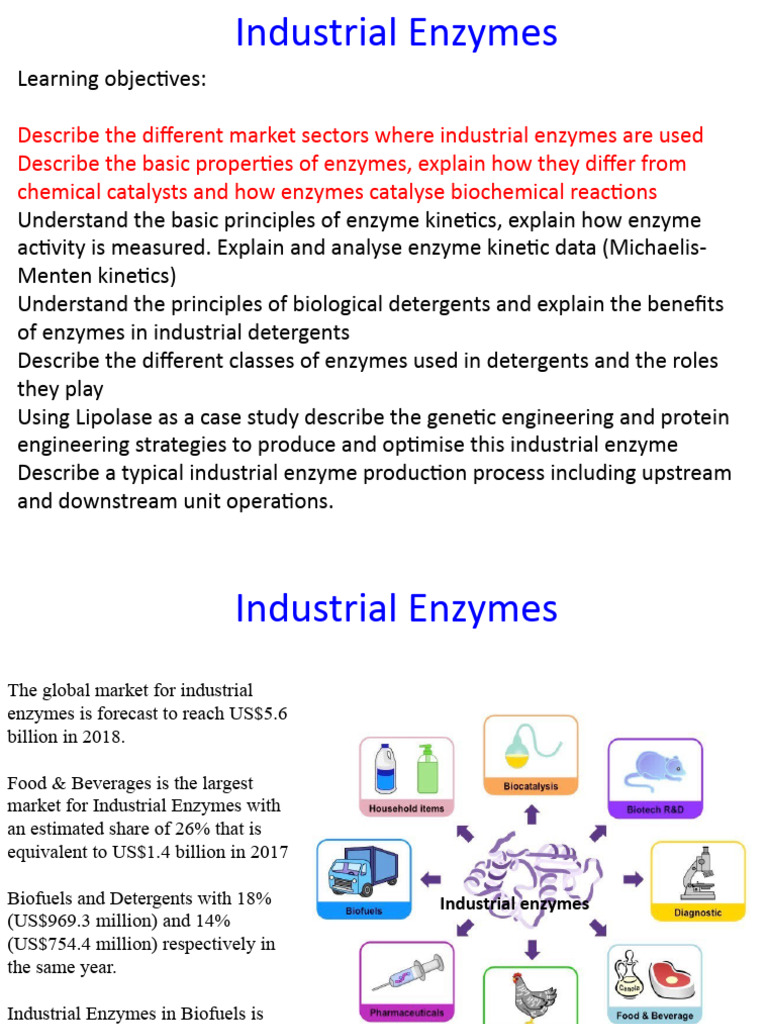 Part 4 Case Study- Industrial Enzymes | PDF | Enzyme Kinetics | Enzyme