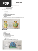 Body Cavities, Regions and Quadrants | PDF | Abdomen | Anatomy