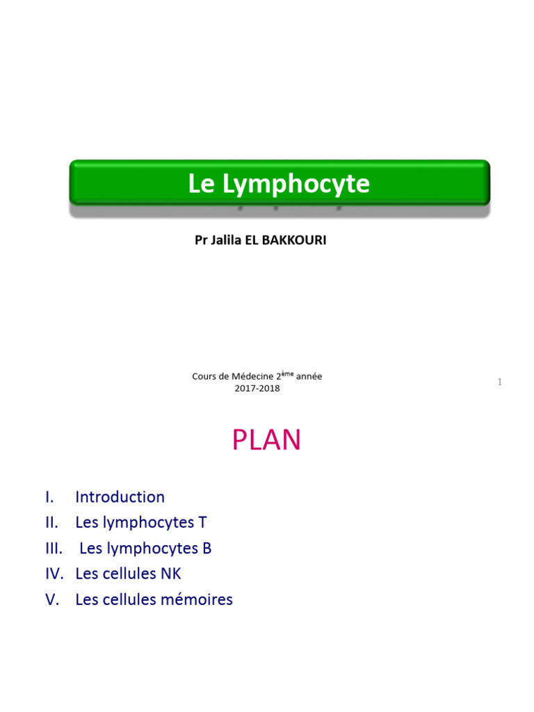 Lymphocytes : Types et Fonctions Immunitaires | PDF | Lymphocyte T ...