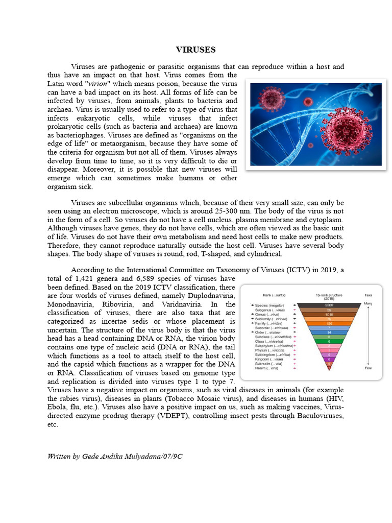 VIRUSES (Report Text) | PDF | Virus | Cell (Biology)