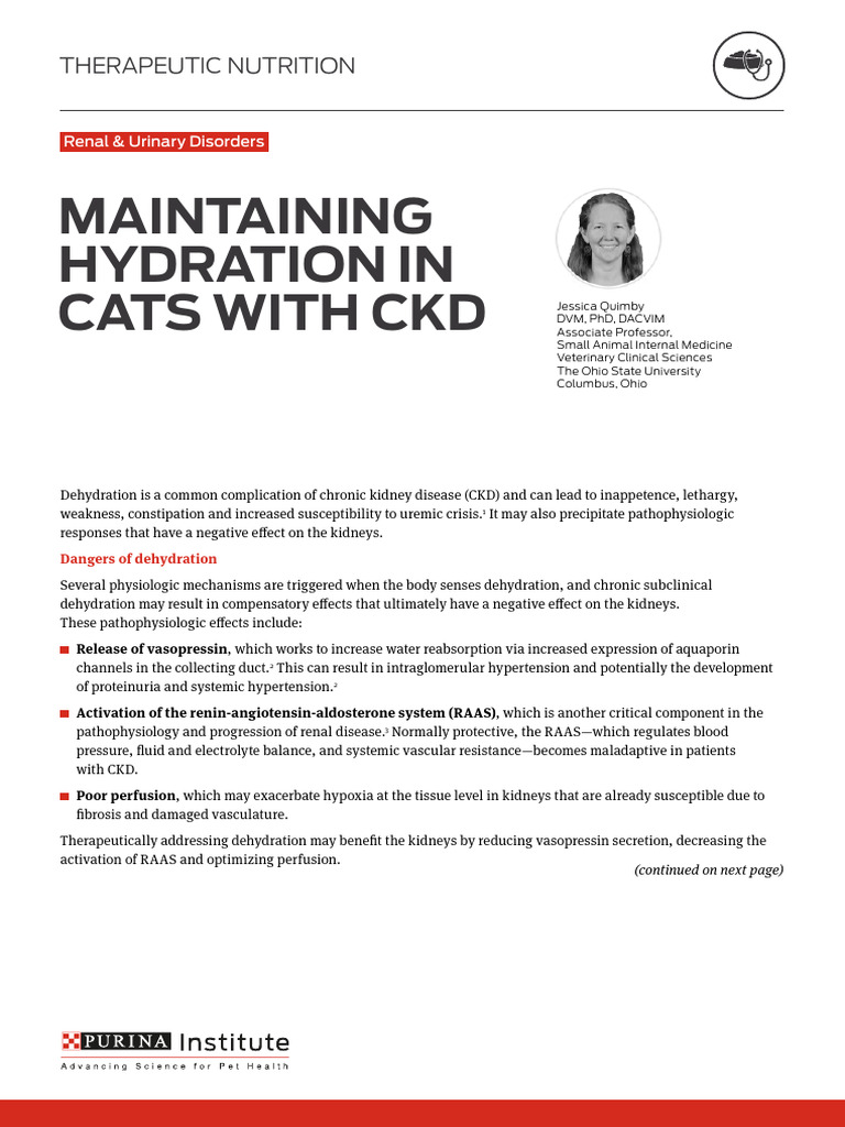 Maintaining Hydrationin Cats With CKD | Download Free PDF | Dehydration ...