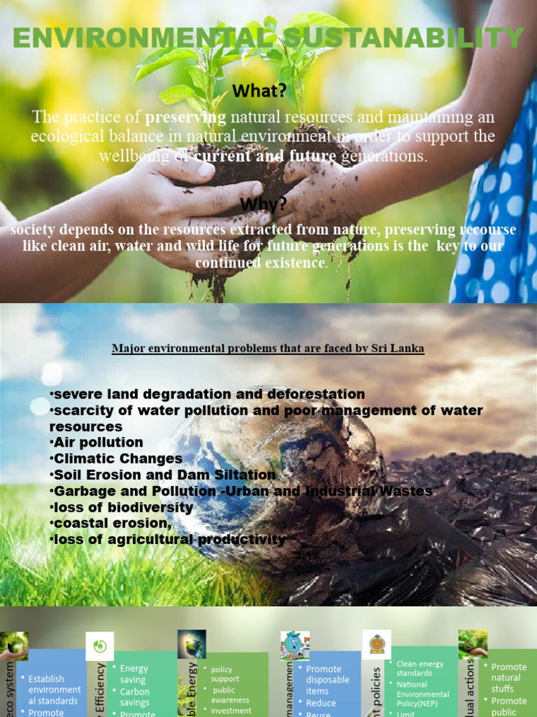 Environmental Sustanability | PDF | Sustainable Energy | Waste Management