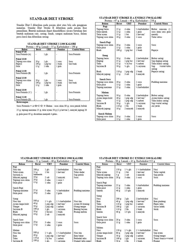 Standar Diet Stroke | PDF