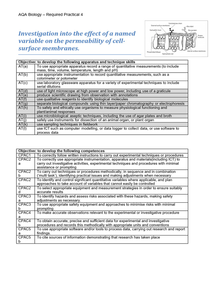 Beetroot Membrane Permeability Practical | PDF | Cell Membrane | Experiment