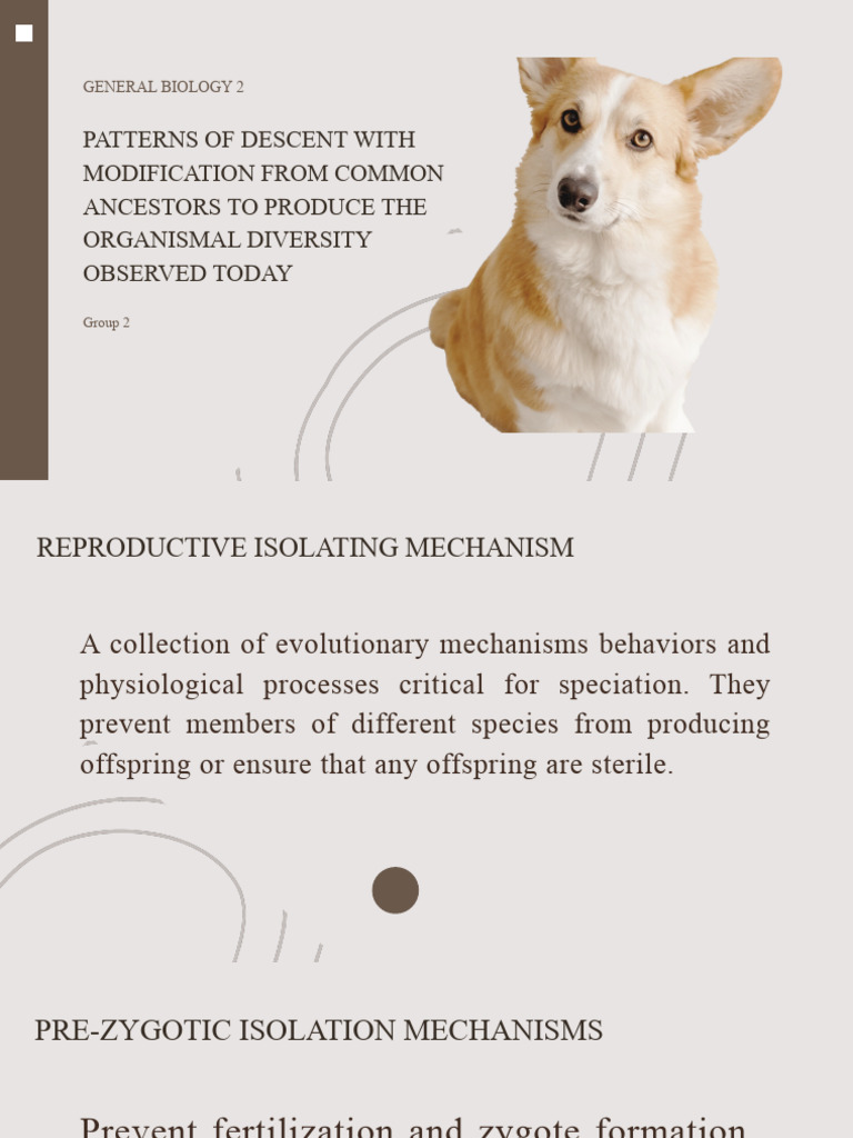 Patterns of Descent With Modification From Common Ancestors To Produce ...