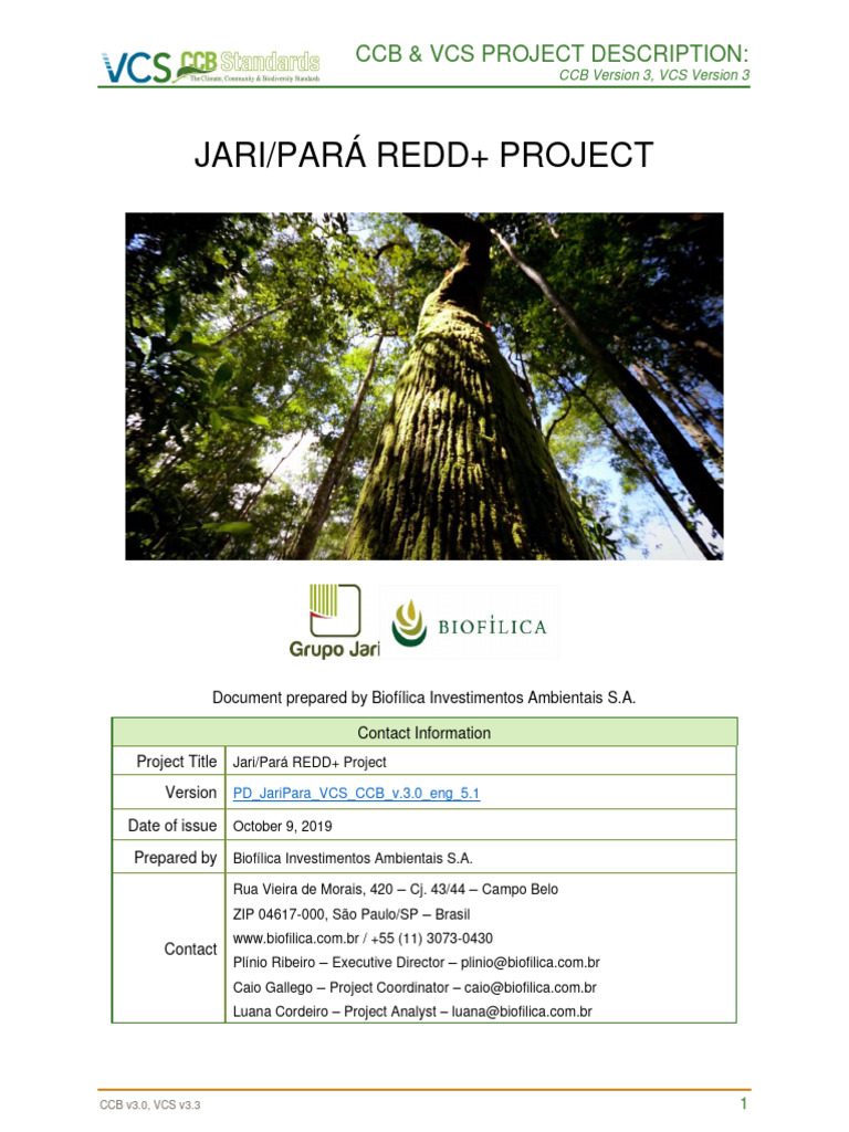 Jari para Redd Project (Verra Info) | PDF | Reducing Emissions From ...